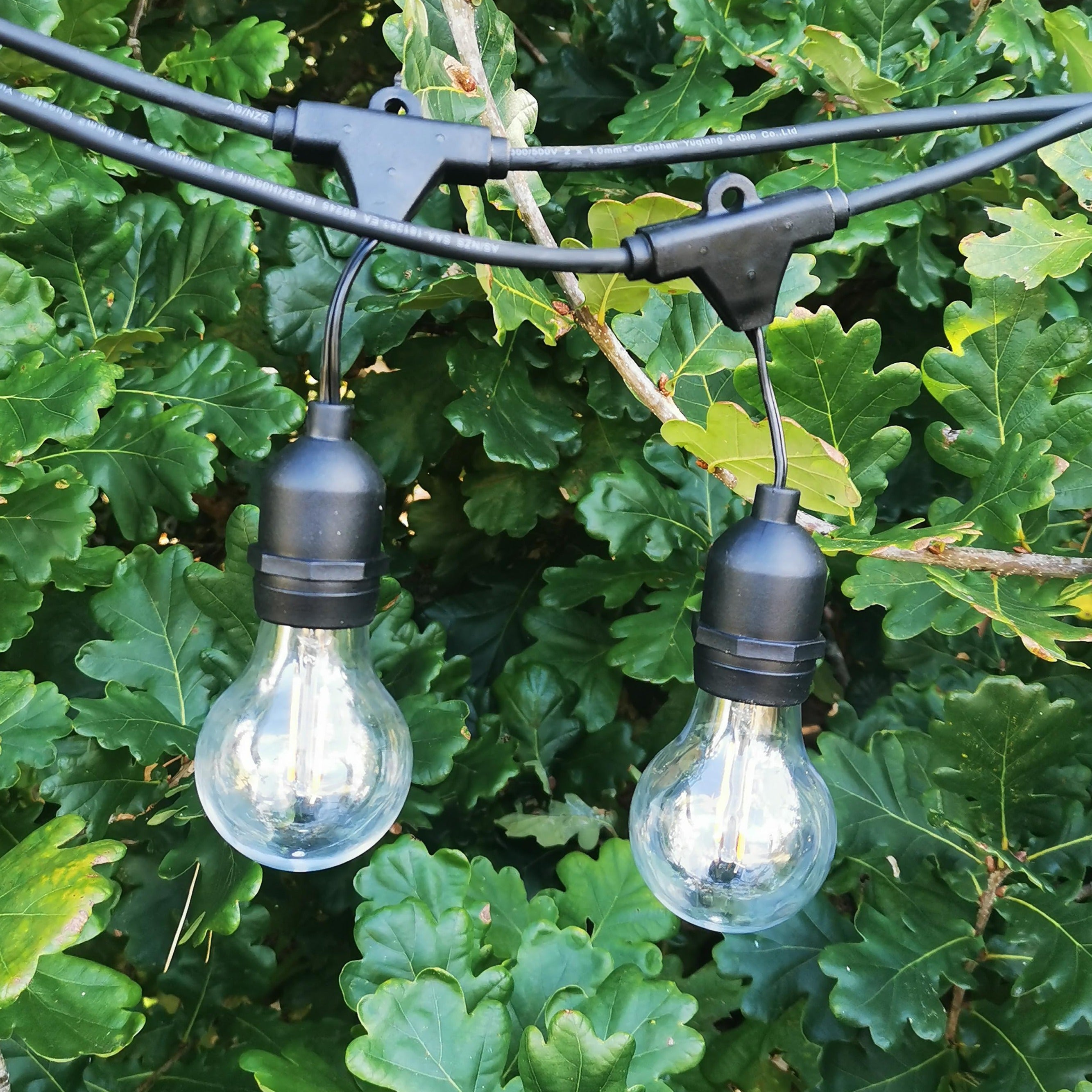 A60 Clear Bulb | 15m 15 Bulbs | Drop Hang Dimmable Festoon Lights ...